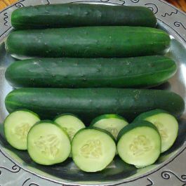 HYBRID CUCUMBER, MONGOOSE