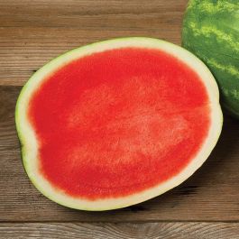 HYBRID WATERMELON, EXCURSION