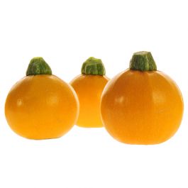 HYBRID SQUASH, ONE BALL