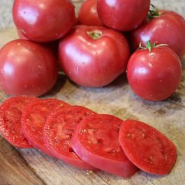 HYBRID TOMATO, PINK GIRL