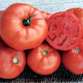 HYBRID TOMATO, RED DEUCE