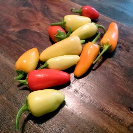 PEPPER, SANTA FE GRANDE
