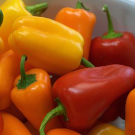 HYBRID PEPPER, SWEETIE SNACK PEPPER MIX