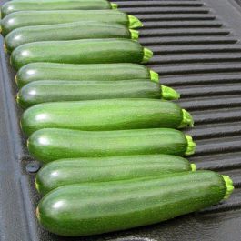 HYBRID SQUASH, GREEN MACHINE