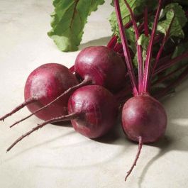 HYBRID BEET, MERLIN