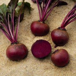 HYBRID BEET, GRENADE