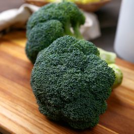 HYBRID BROCCOLI, KINGDOM
