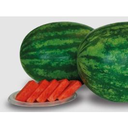 HYBRID WATERMELON, RIO GRANDE