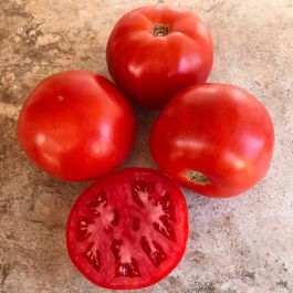 HYBRID TOMATO, STM2255